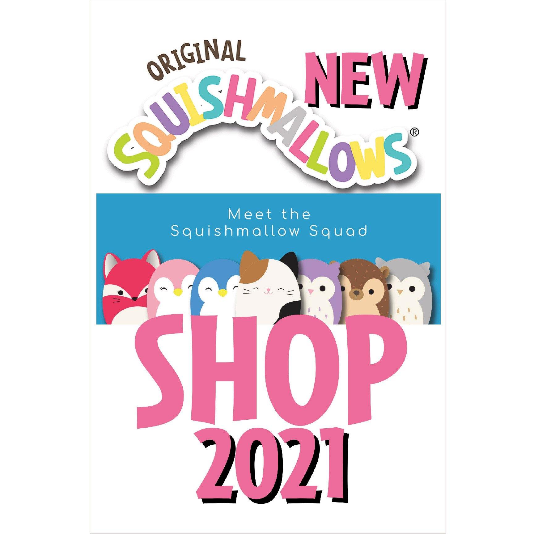 Squishmallow Squad Signs for Learning Express | AdVision Signs ...